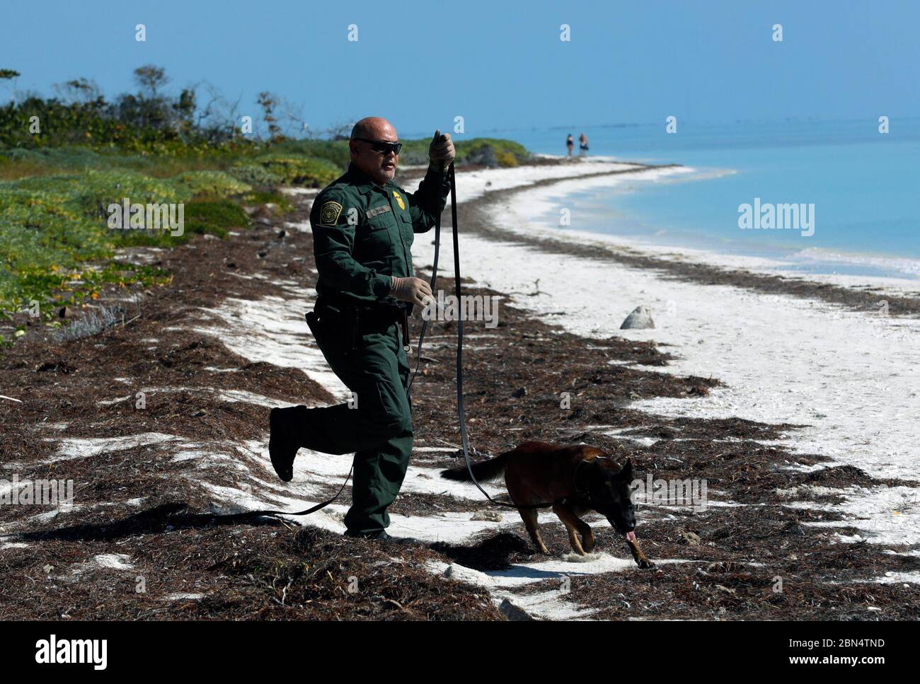 Super k9 hi-res stock photography and images - Alamy