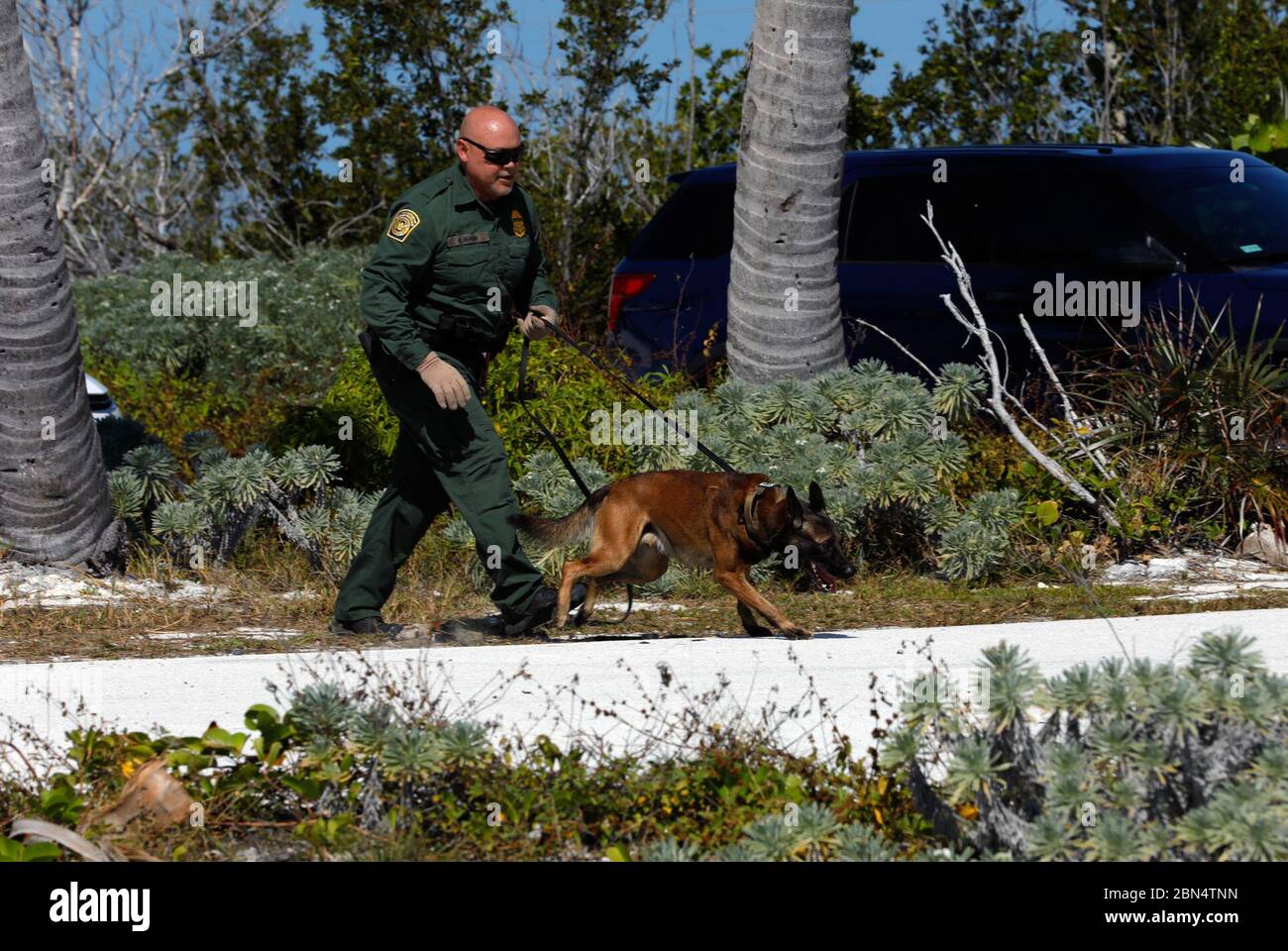 Super k9 hi-res stock photography and images - Alamy