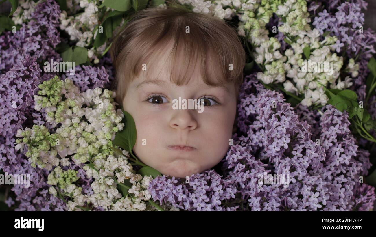 Happy cute girl child looking from bunch of lilac flowers around her ...