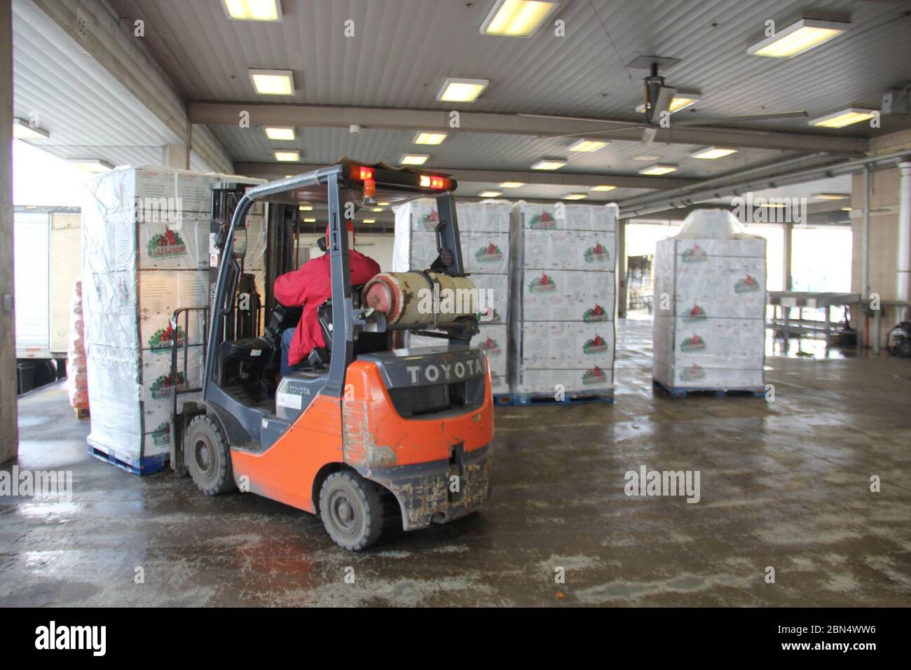 Title 42 usc 265 hi-res stock photography and images - Alamy