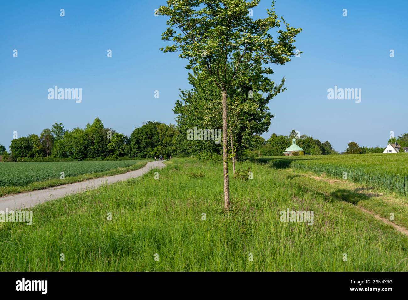 Field path, hiking trail, in Essen-Kettwig, Felder an der Pierburg, NRW ...