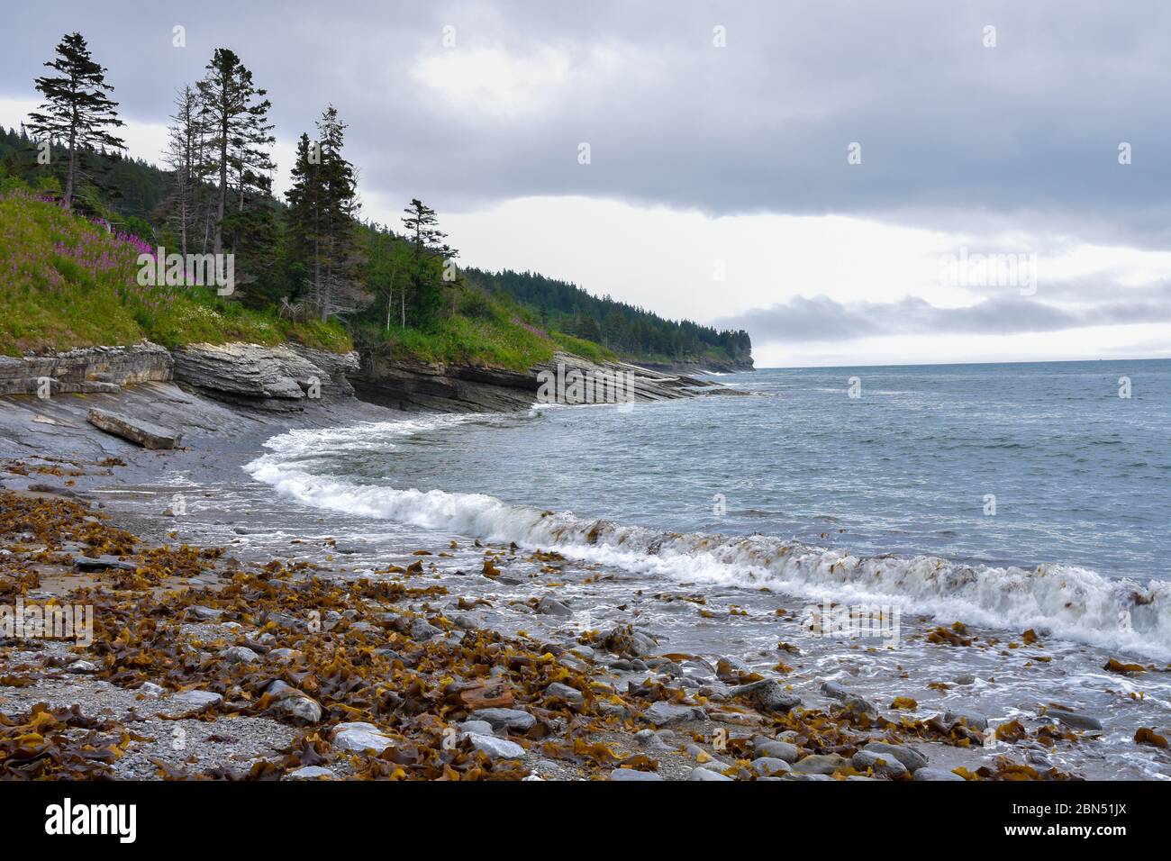 Details of the shoreline in a Gaspé peninsula bay Stock Photo - Alamy
