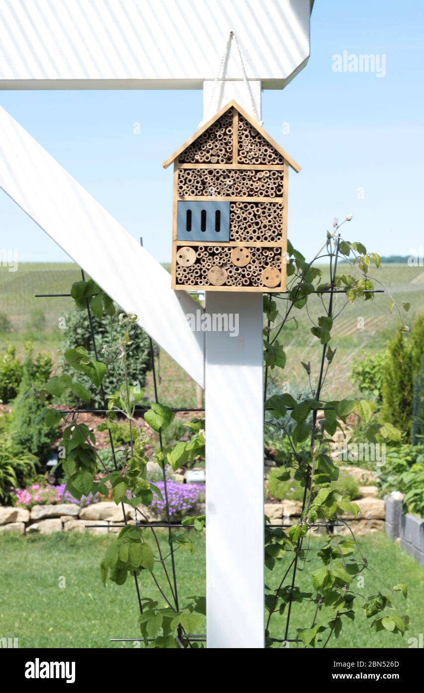 Insect house in garden Stock Photo - Alamy