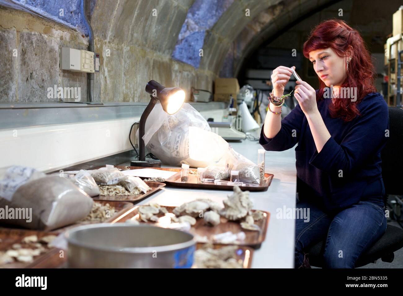 Archaeology student in a brick wall classroom Stock Photo - Alamy