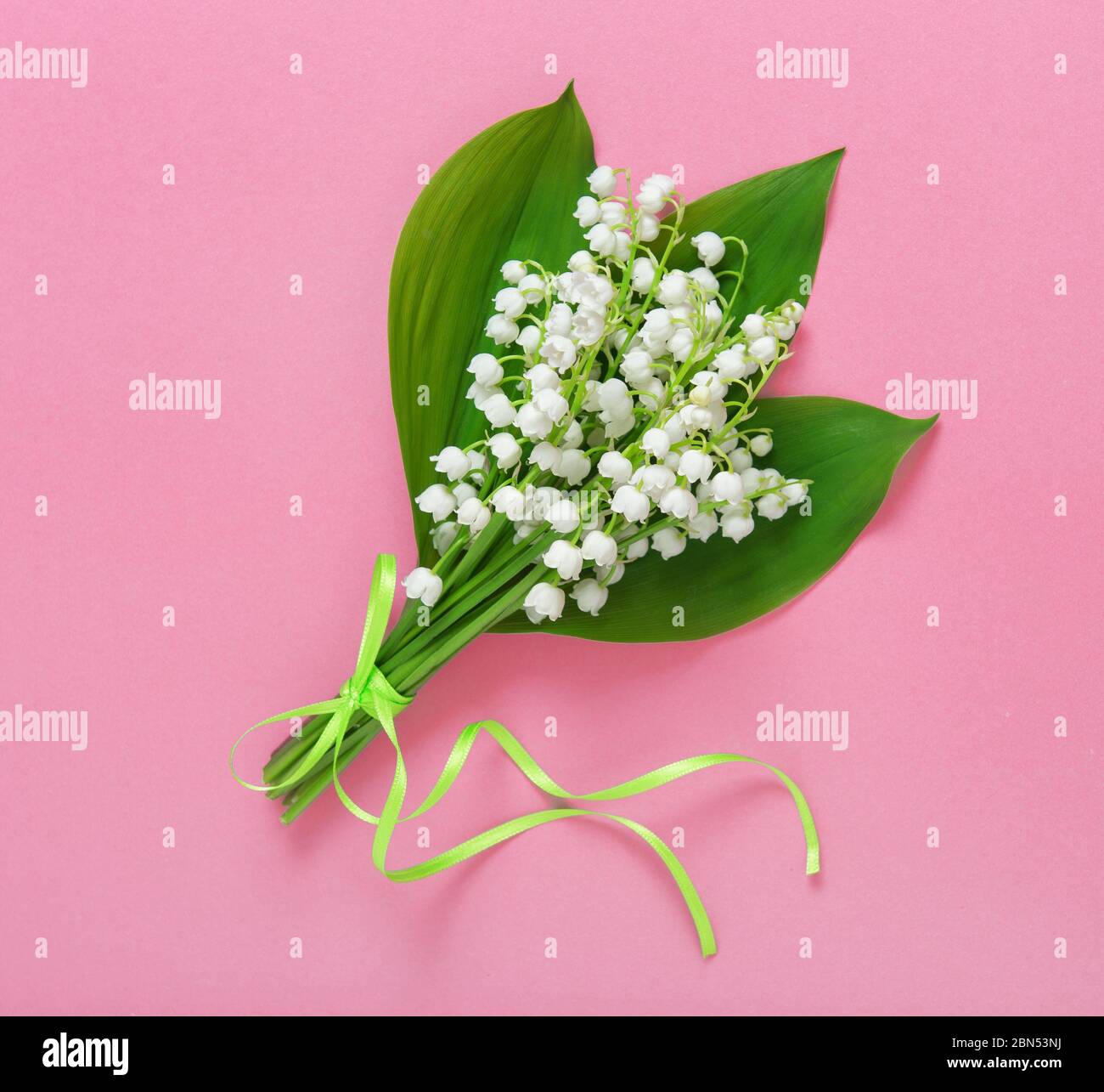 Pink Lily Of The Valley Flower