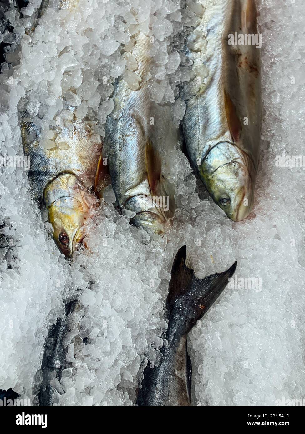 lots of fresh fish for cooking like the background Stock Photo - Alamy