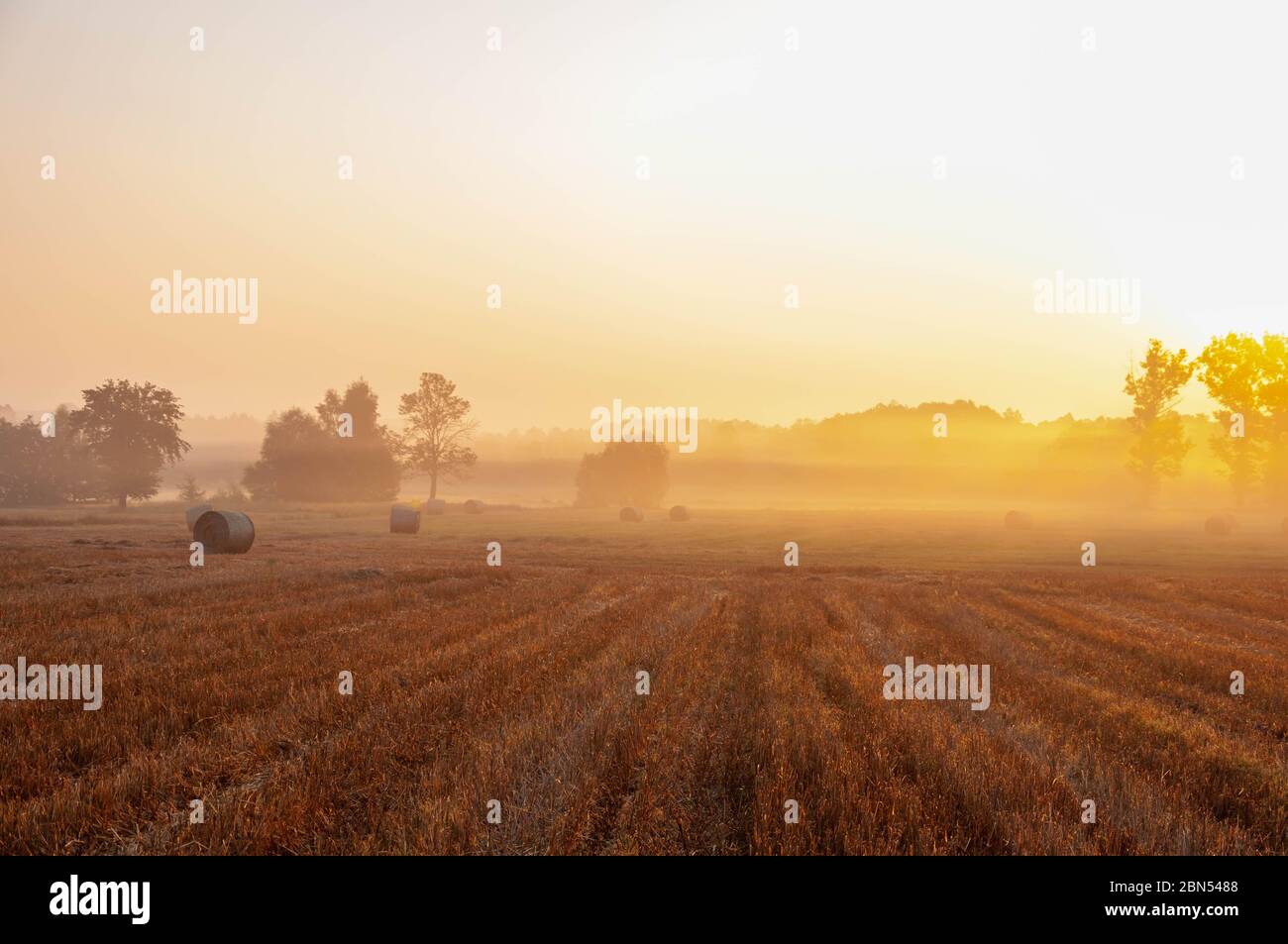 Havest hi-res stock photography and images - Alamy