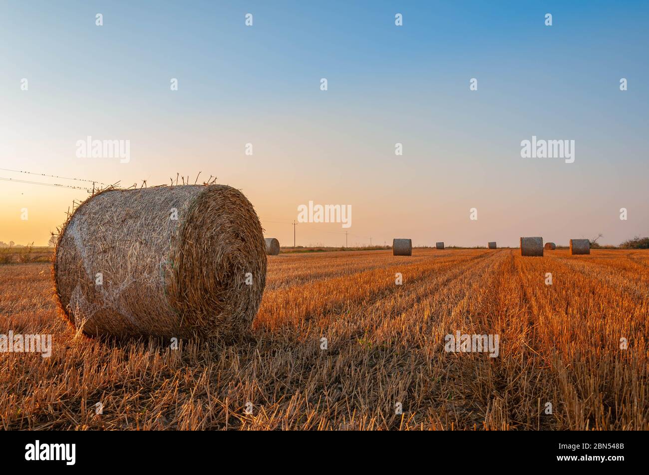 Hay Bunch High Resolution Stock Photography and Images - Alamy