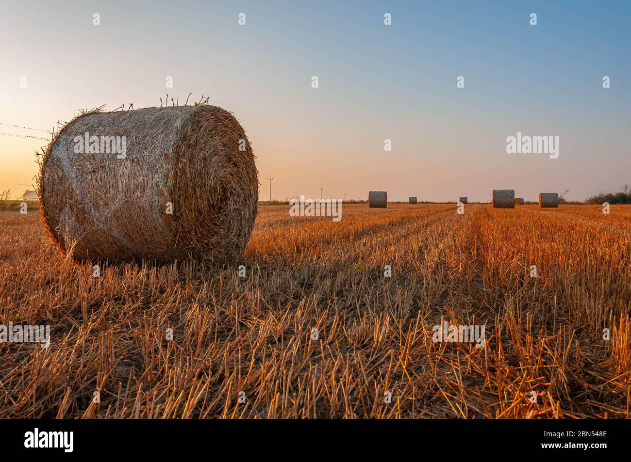 Havest hi-res stock photography and images - Alamy