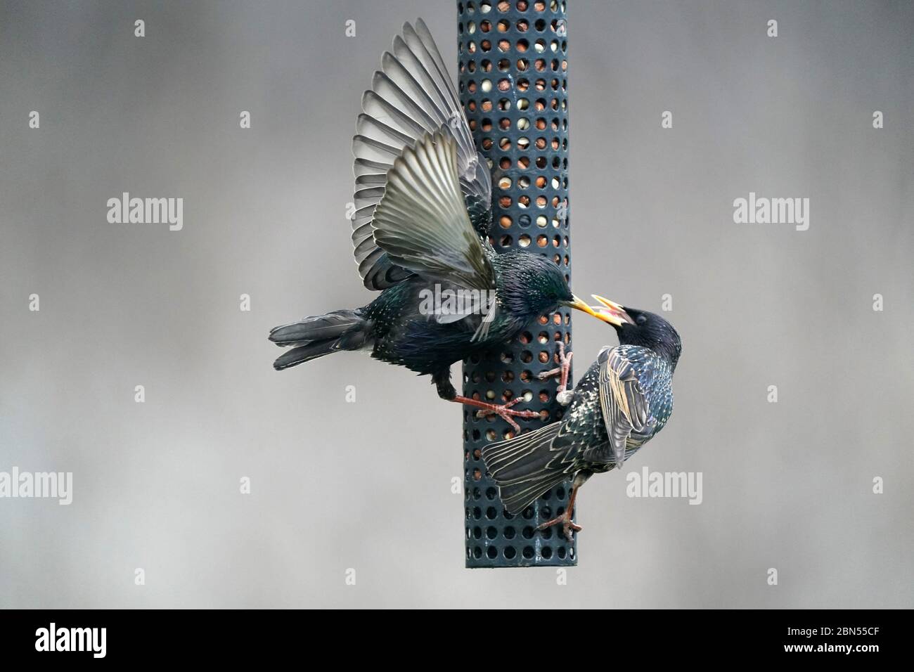 Big feet in midair hi-res stock photography and images - Alamy