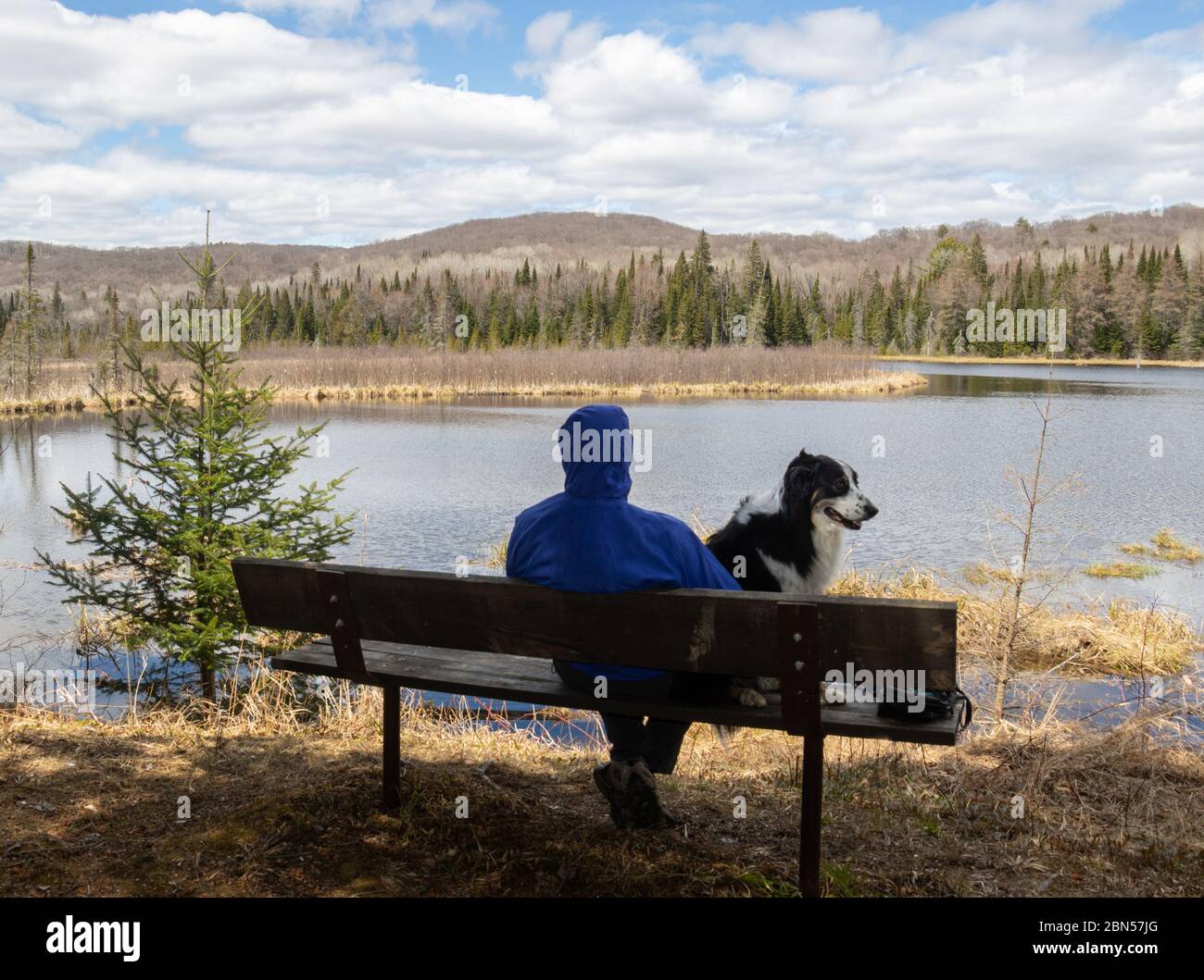 Arrowhead pond hi-res stock photography and images - Alamy