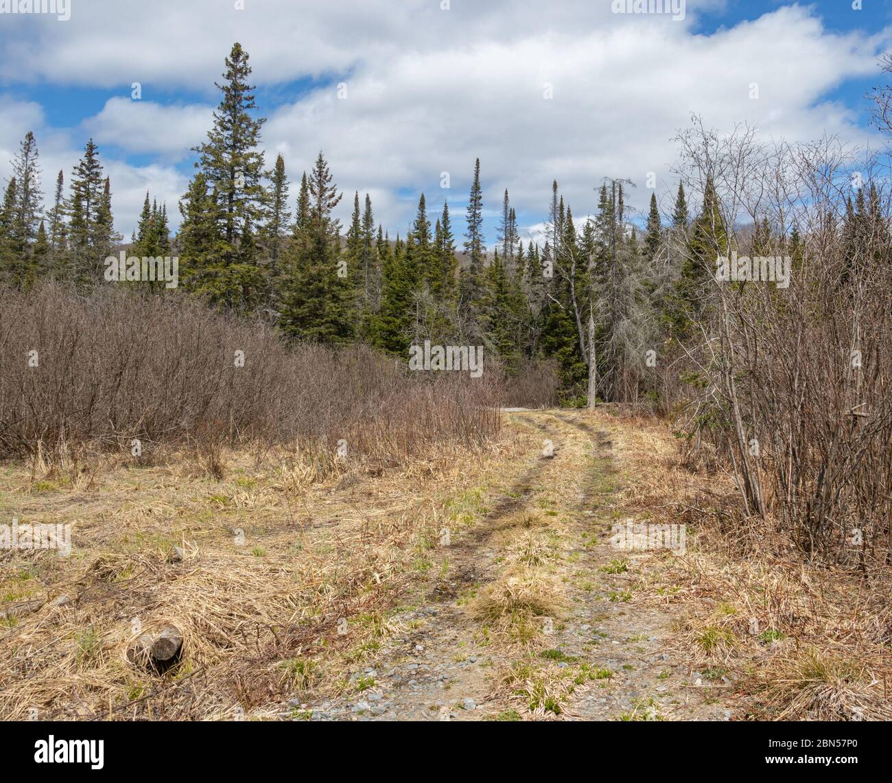 Arrowhead park in springtime in Ontario Stock Photo - Alamy