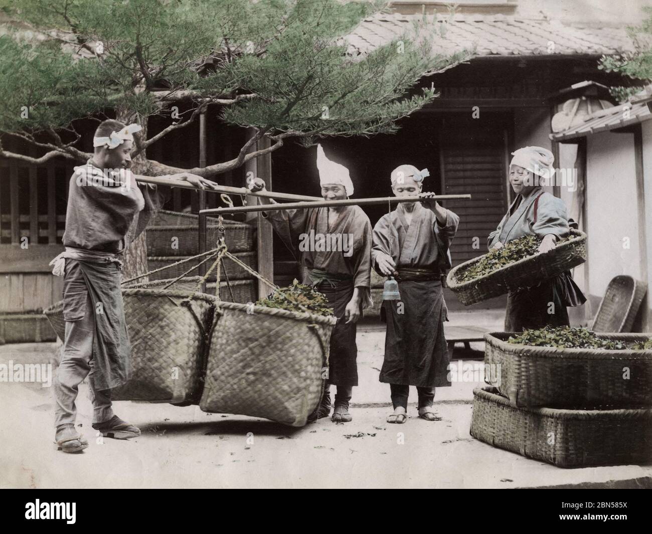 Weighing baskets of tea leaves for sale, Japan Stock Photo - Alamy