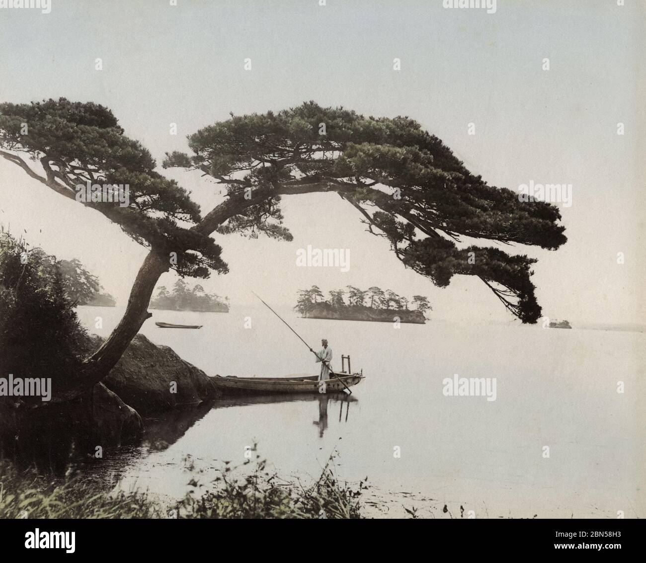 Boatman on a lake under a sweeping tree, Japan Stock Photo - Alamy