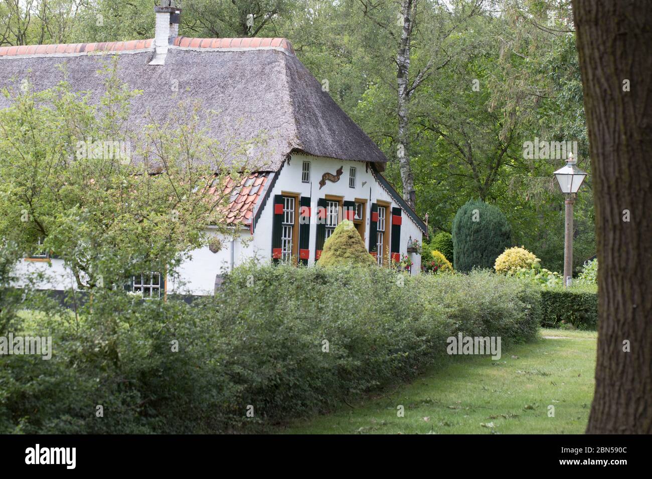 Old House in the Forest in the Netherlands Stock Photo - Alamy