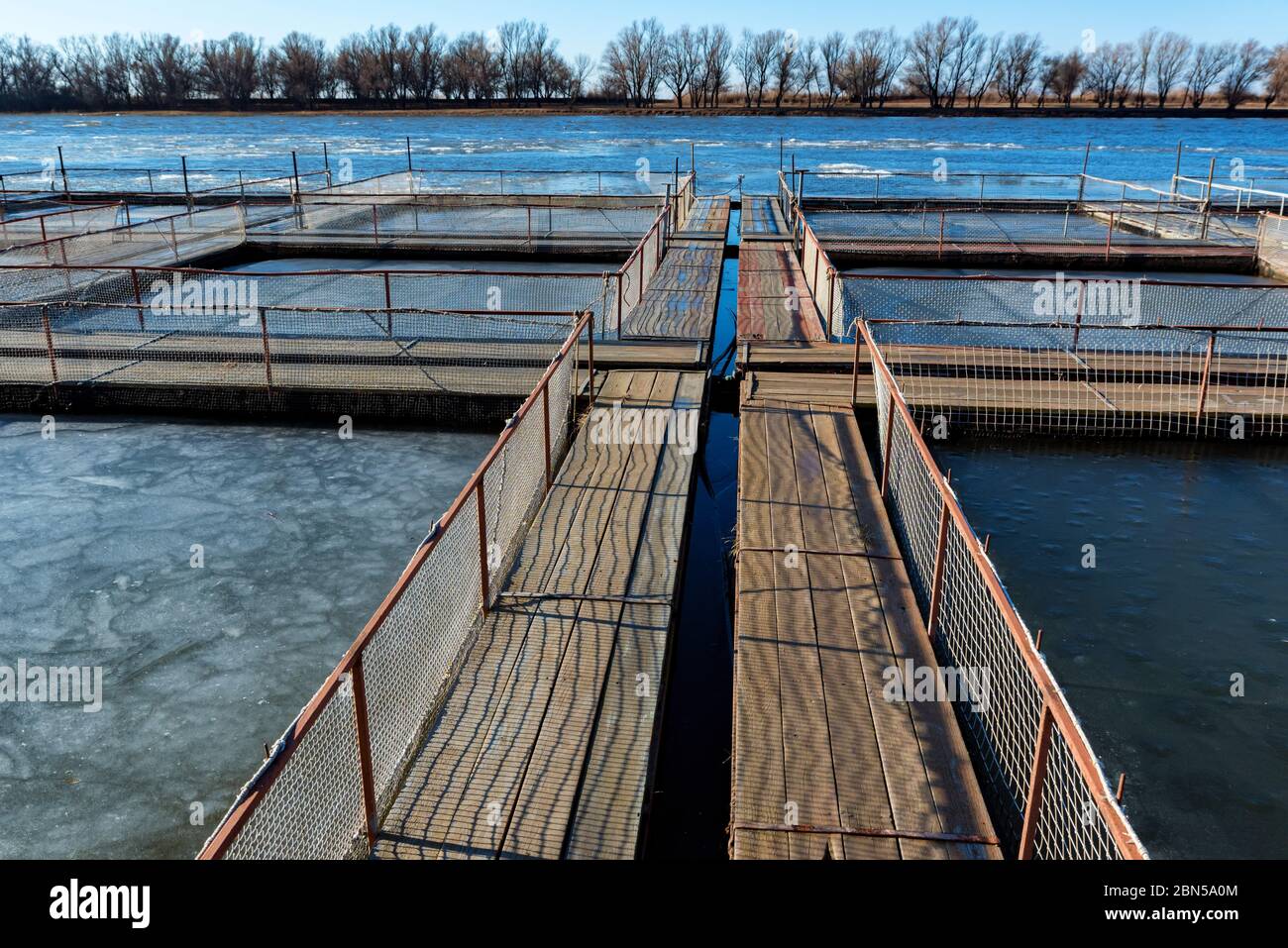 Winter view of fish farm for brooding sturgeons with natural pools in ...