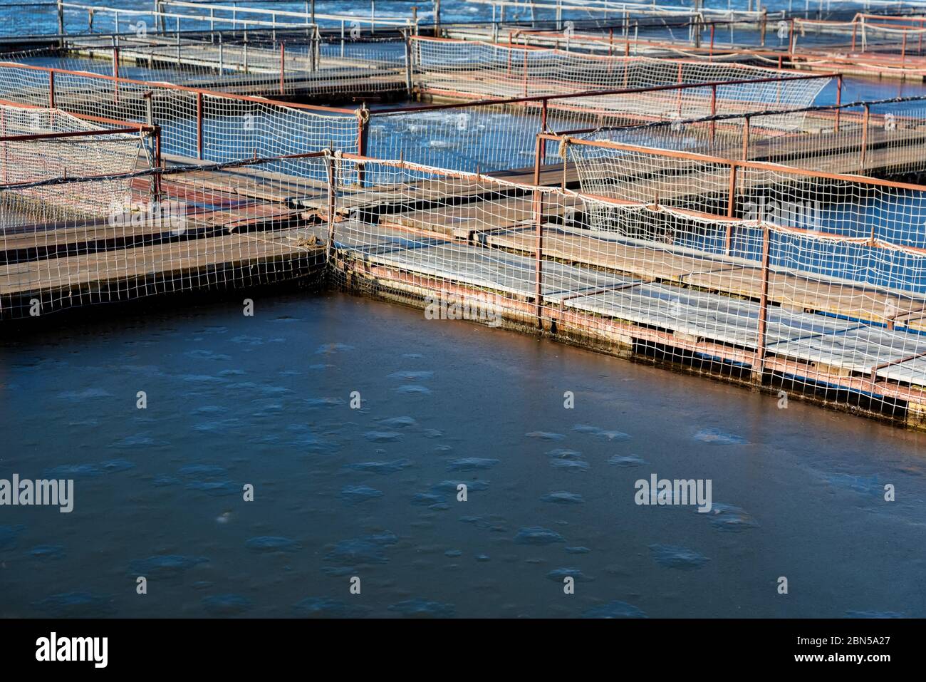Winter view of fish farm for brooding sturgeons with natural pools in ...