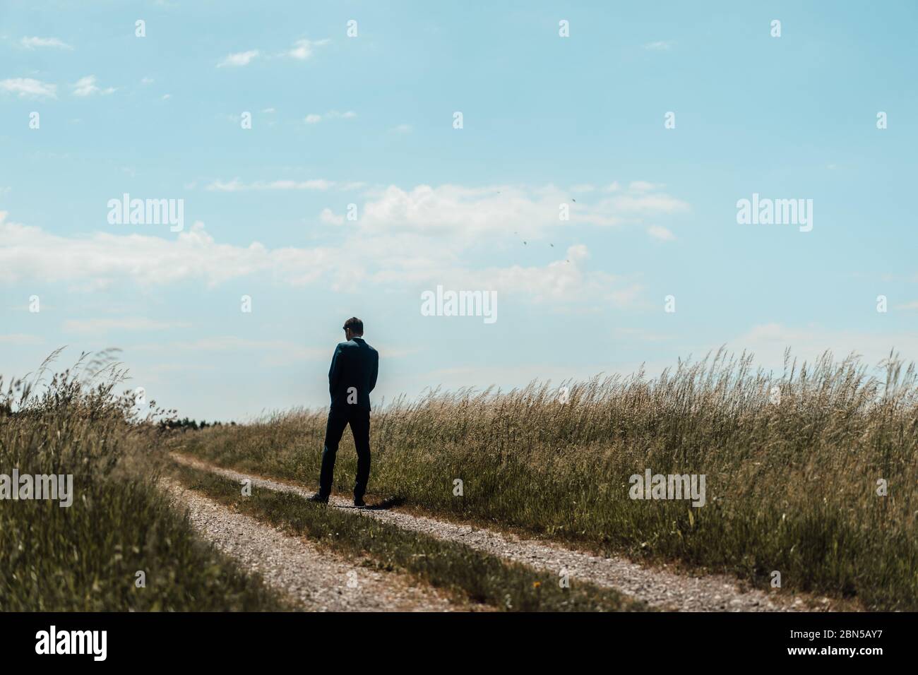 photo of a man standing on a way between two fields Stock Photo - Alamy