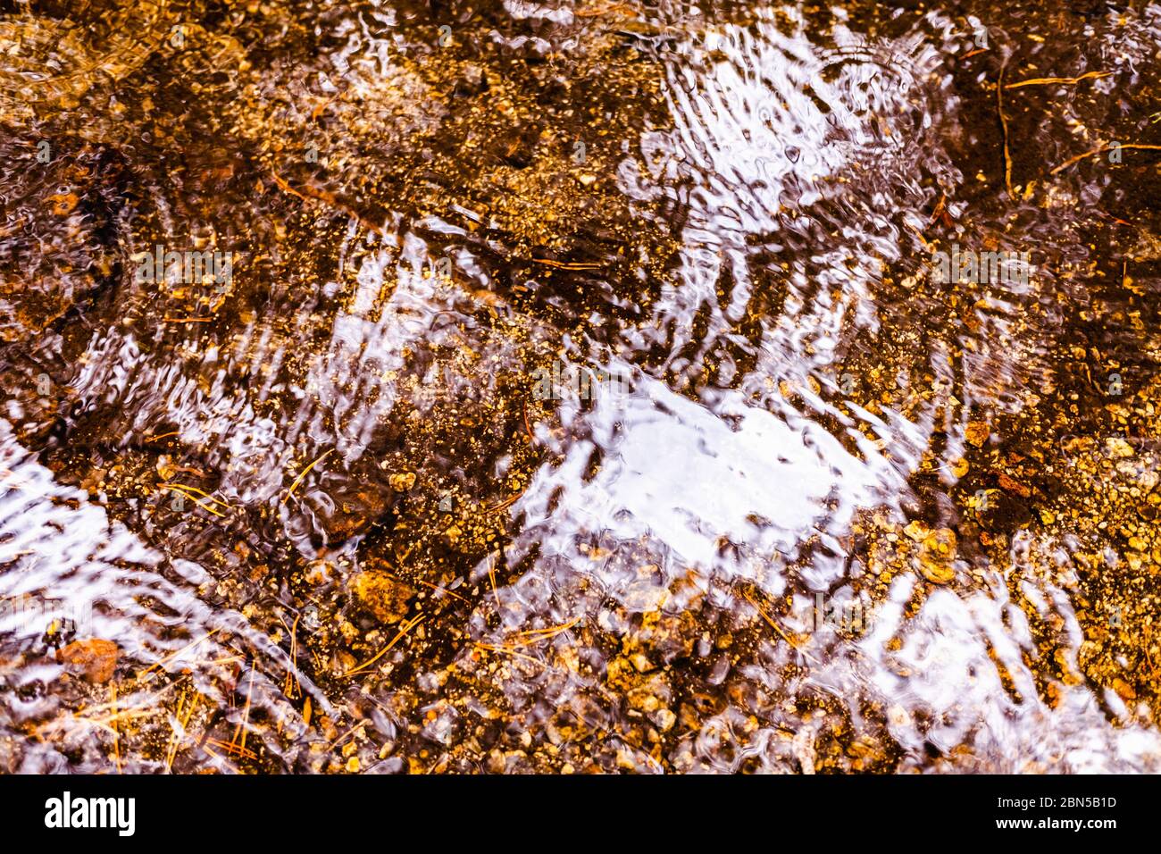 Natural, real background of a puddle of a stream in which drops of ...