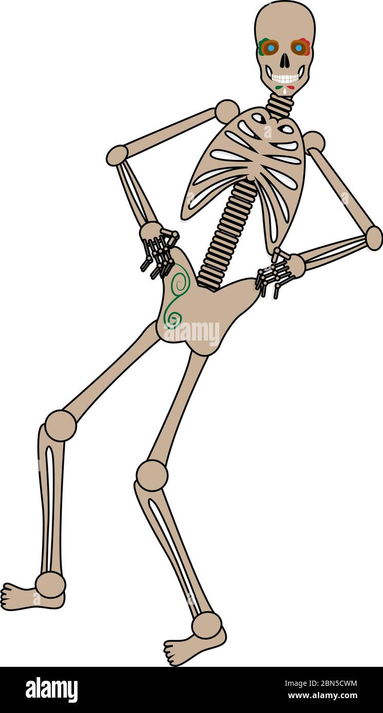 Isolated decorated skeleton Stock Vector Image & Art - Alamy