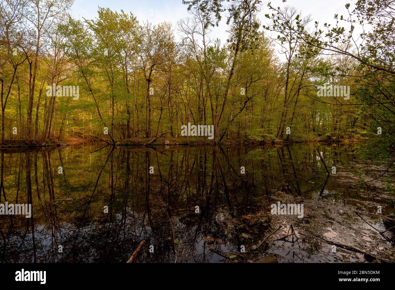 Rockefeller State Park Preserve High Resolution Stock Photography and ...