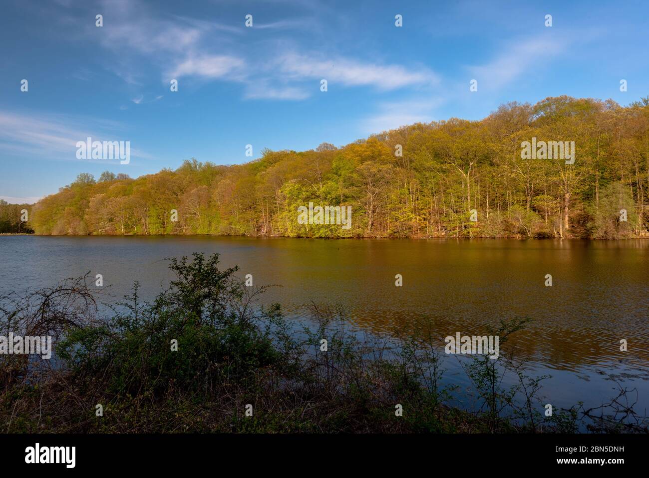 Early signs of spring in Rockefeller State Park Preserve, New York, USA ...