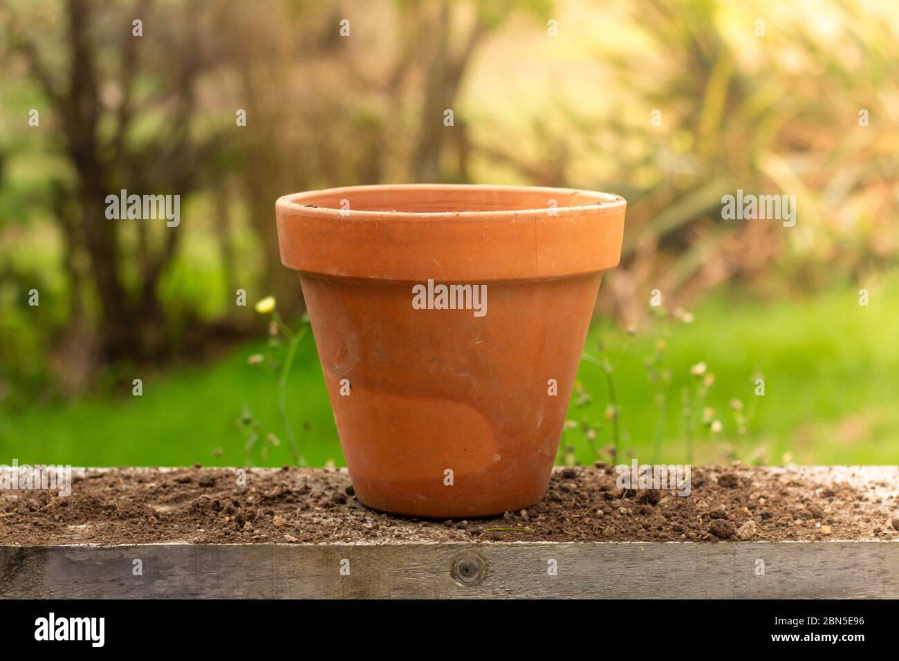 A pot ready for planting Stock Photo - Alamy