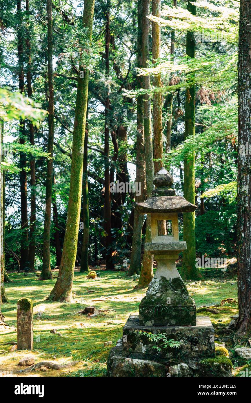Traditional stone lantern with forest at Godaisan mountain Chikurin-ji ...