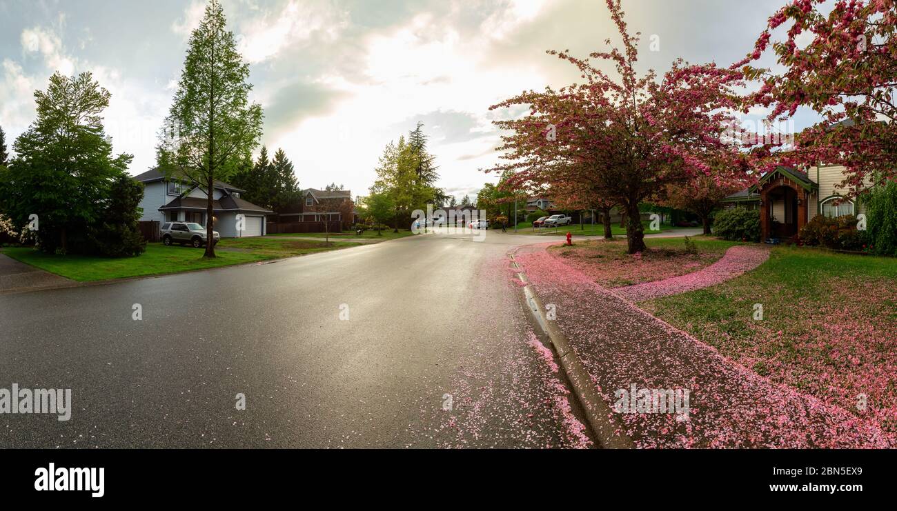 Beautiful Panoramic View of Homes in Residential Neighborhood Stock ...