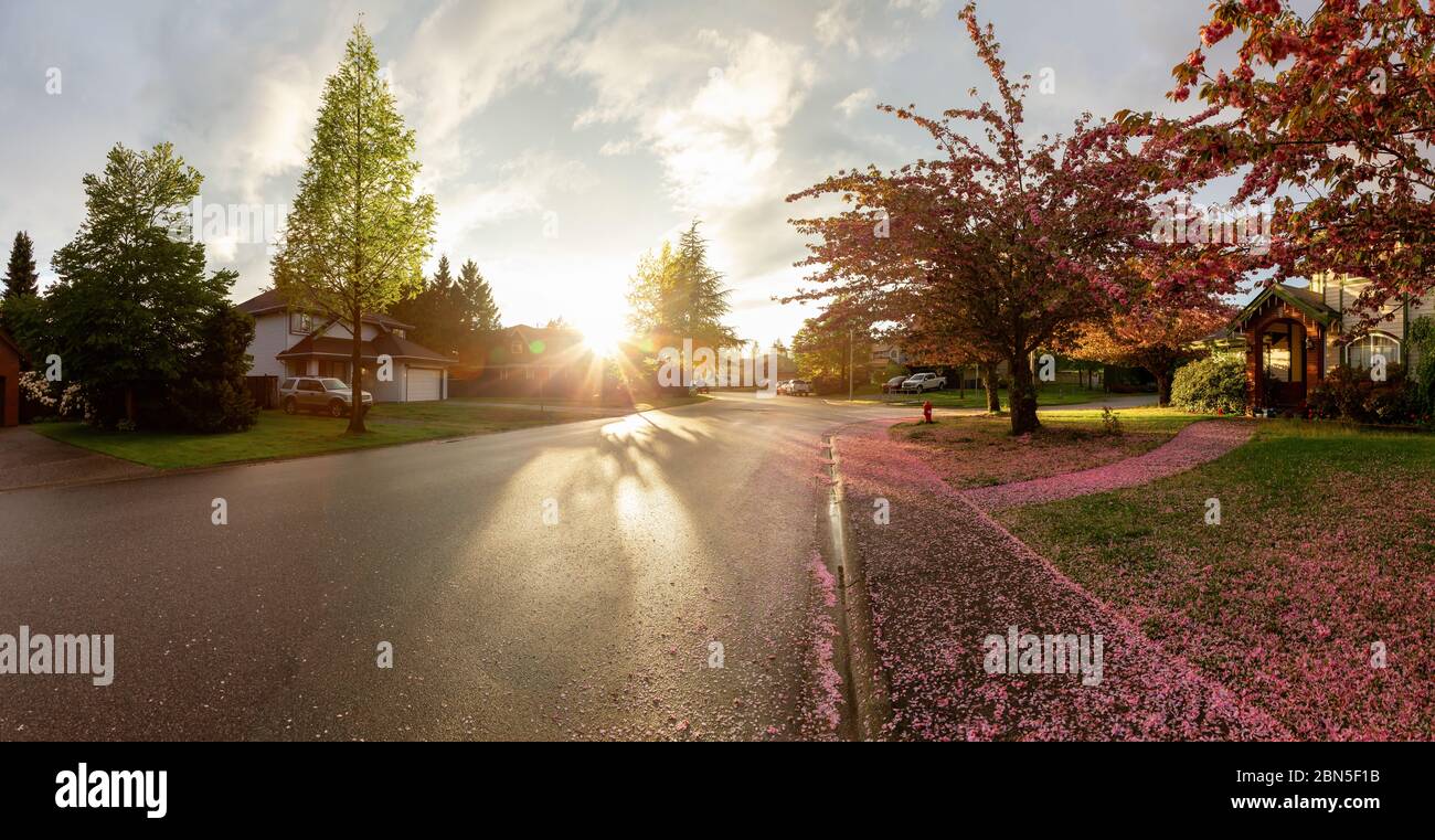 Beautiful Panoramic View of Homes in Residential Neighborhood Stock ...