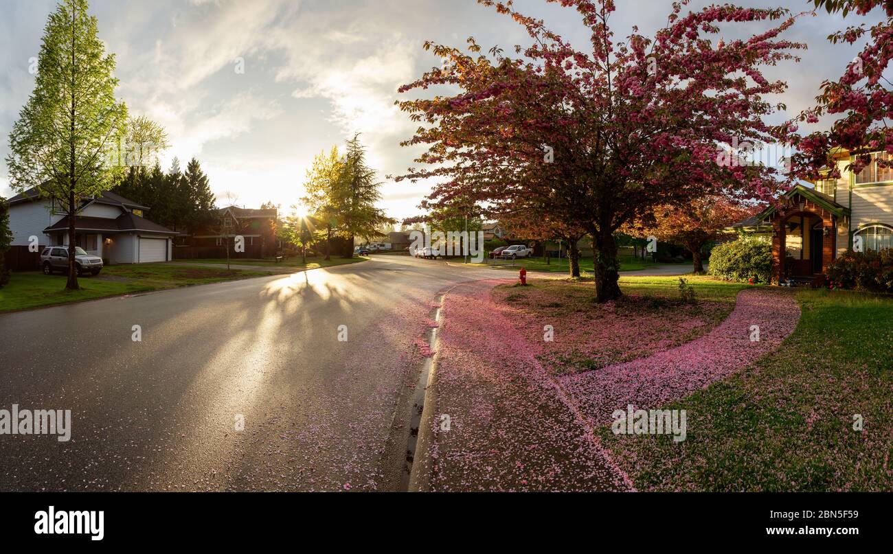 Beautiful Panoramic View of Homes in Residential Neighborhood Stock ...
