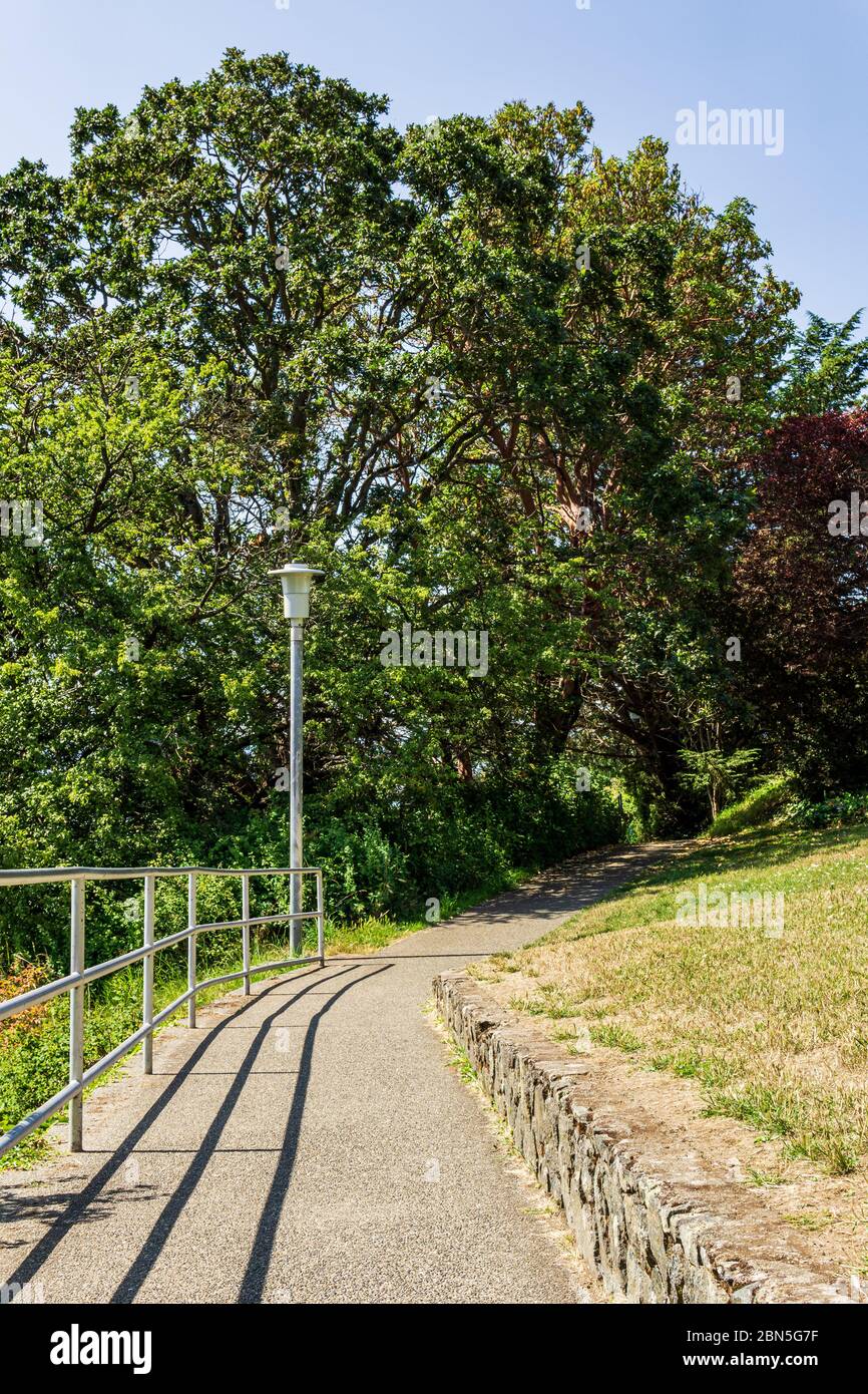 Pedestrian sidewalk in a park area with green plants trees bushes and ...