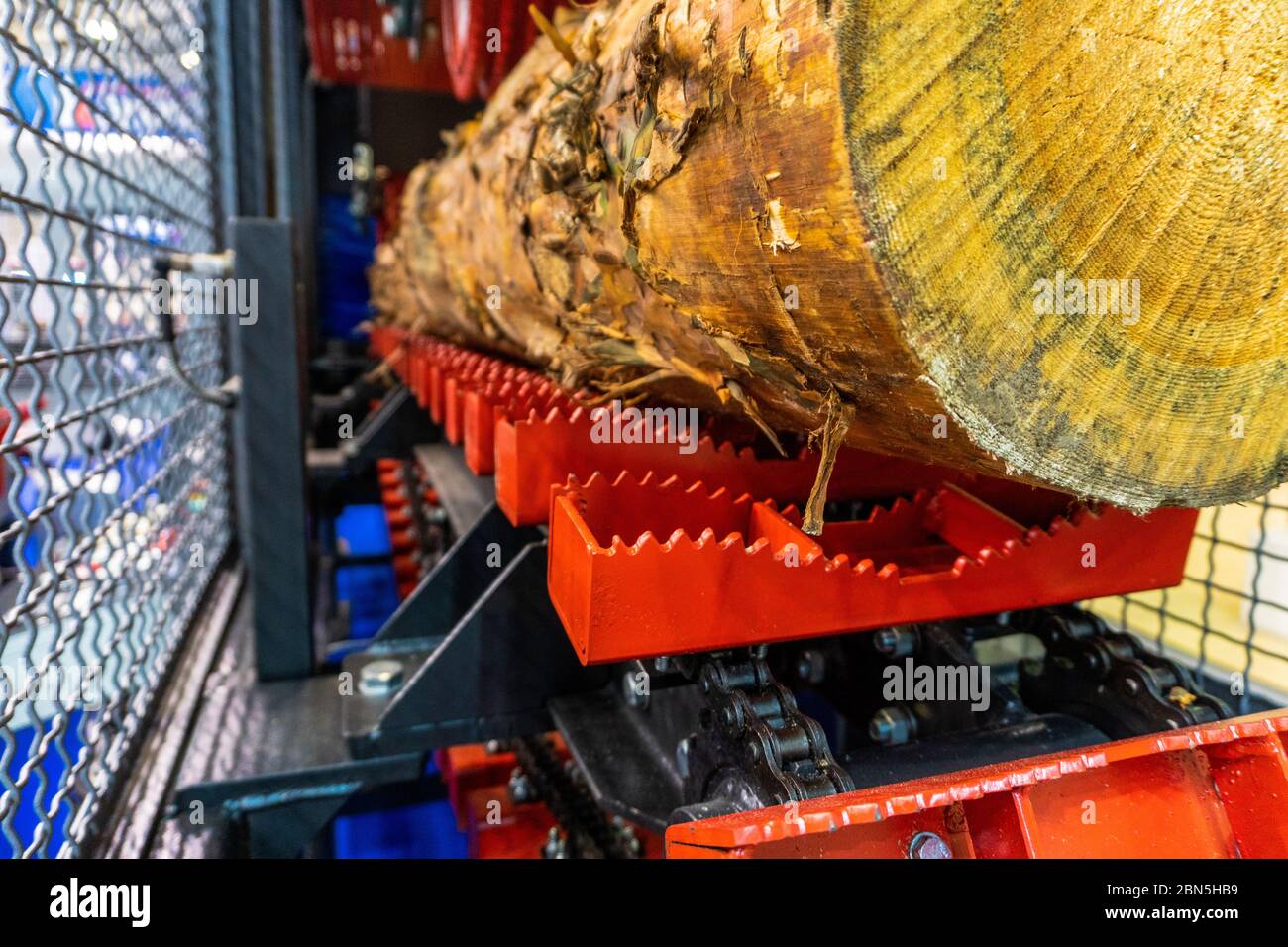 Modern Sawmill. Process of machining logs in equipment sawmill machine ...