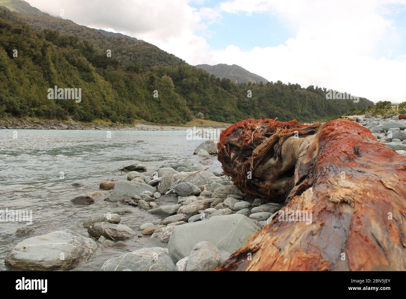 Fallen river timber hi-res stock photography and images - Alamy