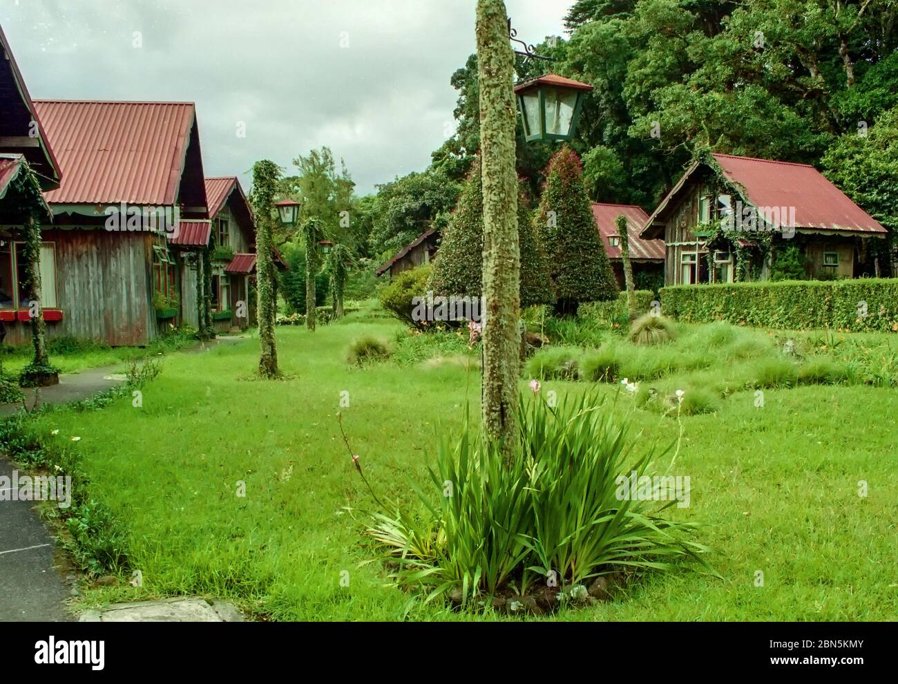 Verdant green hi-res stock photography and images - Alamy