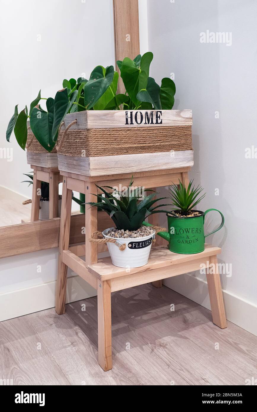 Cool home decoraction with wood and plants Stock Photo - Alamy