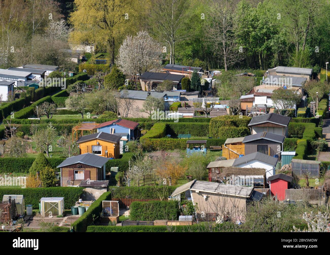 Allotment gardens, allotment garden association An der grossen Eiche eV ...
