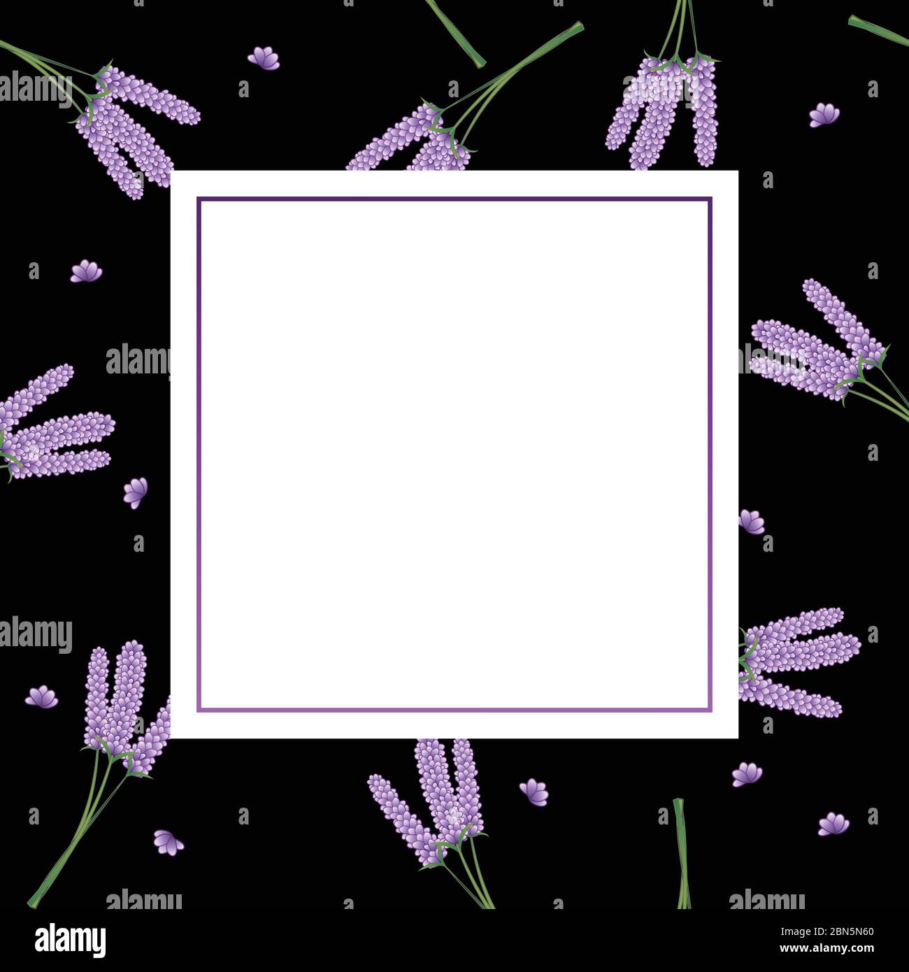 Lavender Flower Banner on Black Background. Vector Illustration Stock ...