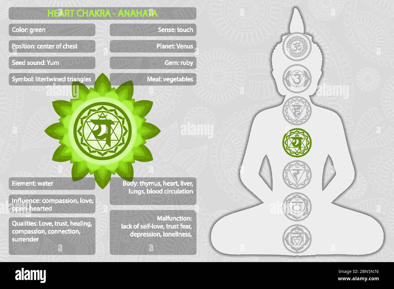 Chakras symbols with description of meanings infographic Stock Vector ...