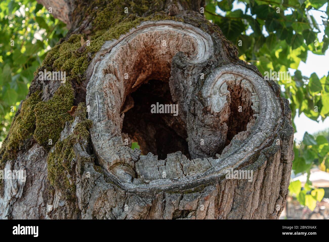 Heart in the middle hi-res stock photography and images - Alamy