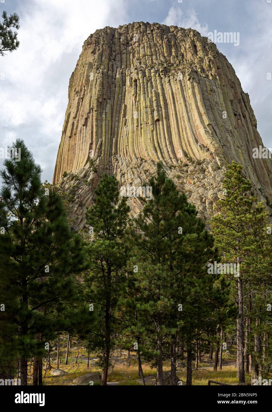 WY04251-00...WYOMING - Devil's Tower from the Tower Trail in Devil's ...
