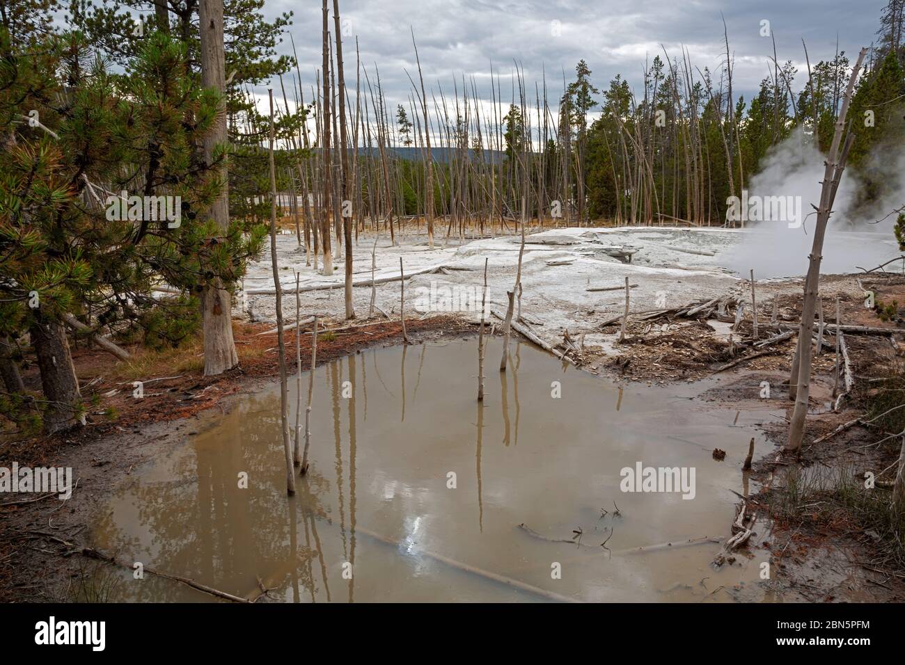 WY04276-00....WYOMING - The toxic runoff from hot springs kills healthy ...