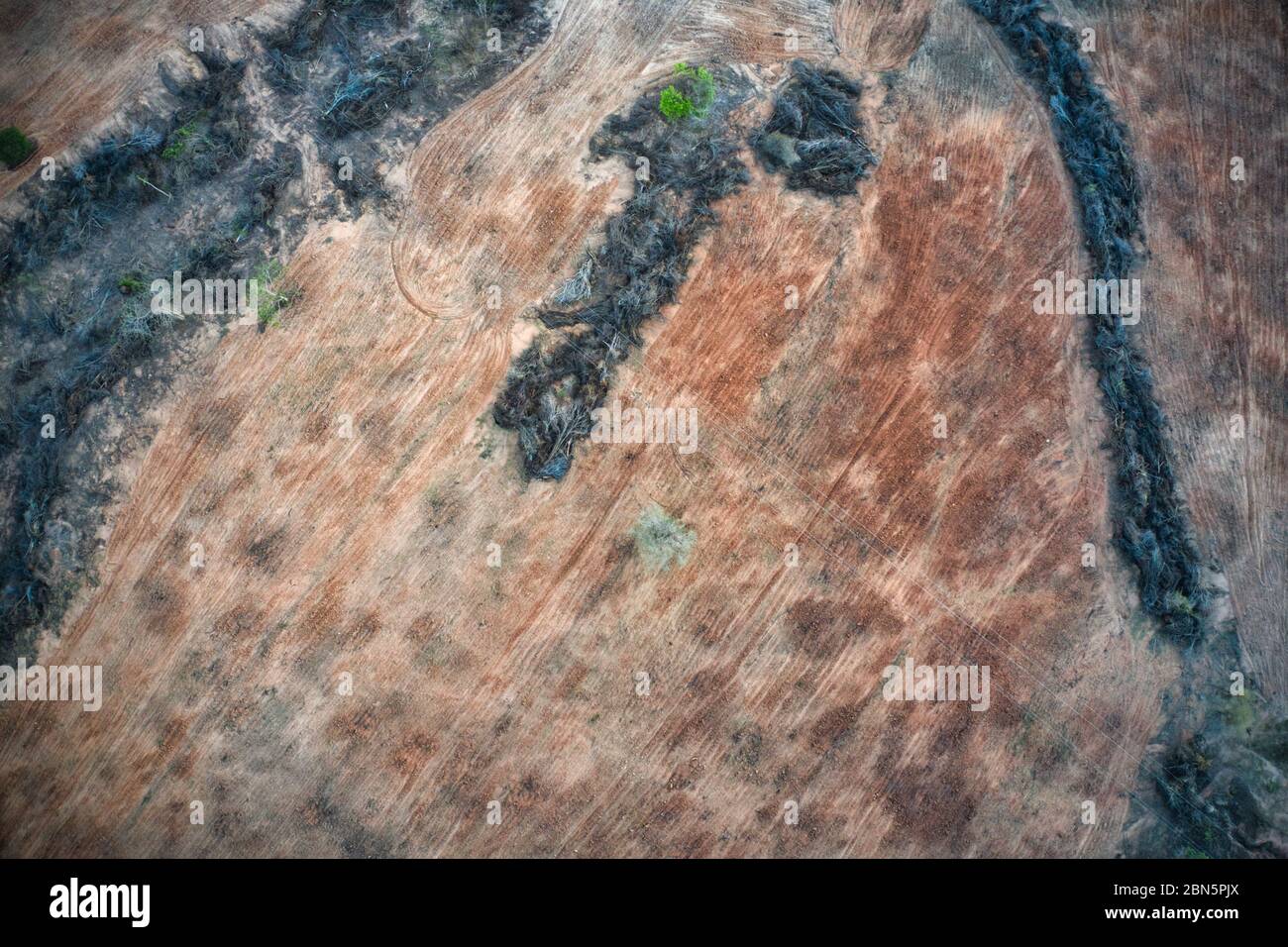 This unique photo shows a burned field in Thailand from above! You can ...