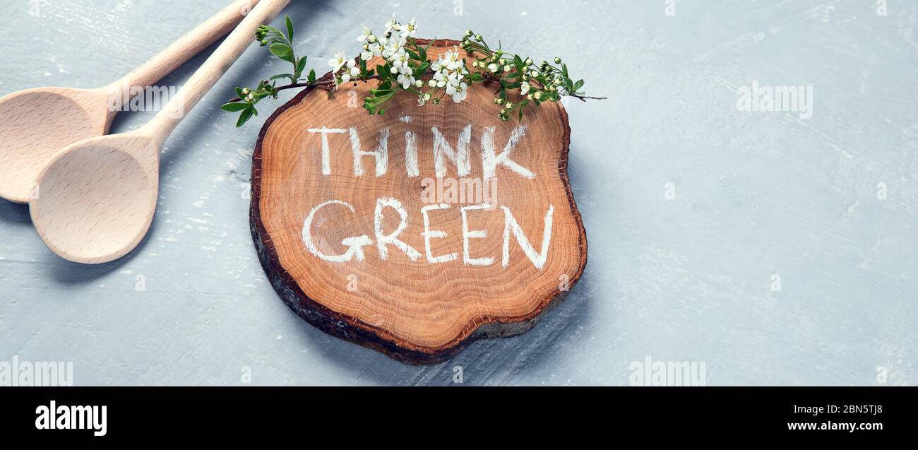 Environmentally friendly planet concept. Nature Think Green and Ecology ...