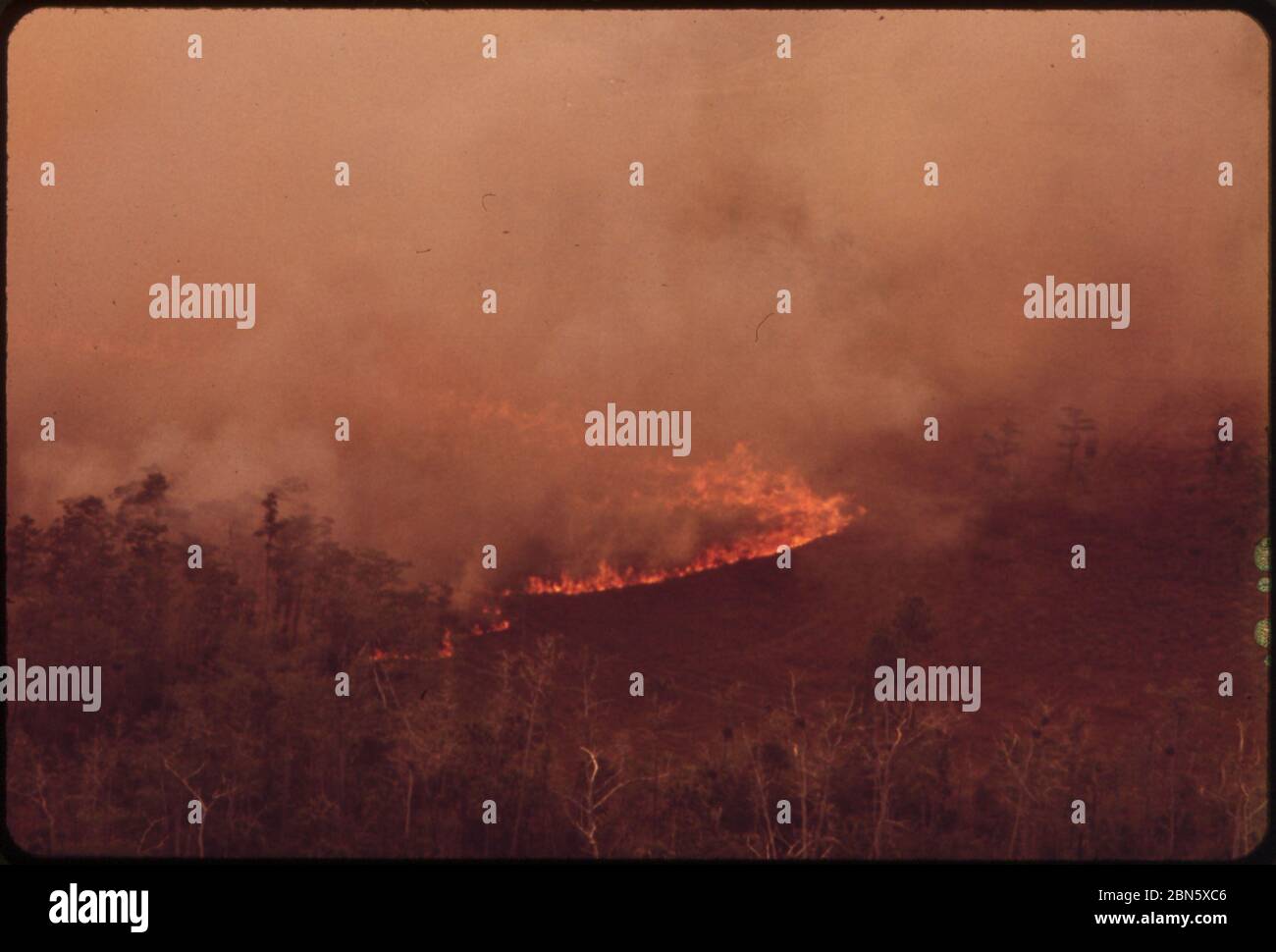 Forest Fires In The Everglades High Resolution Stock Photography and ...