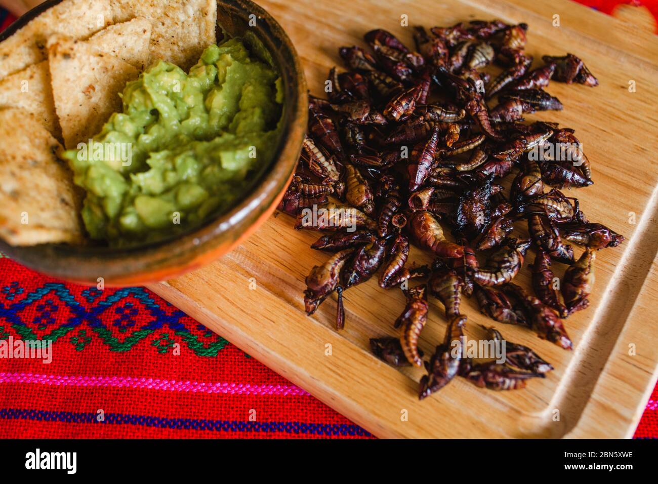 Chapulines, grasshoppers and guacamole snack traditional Mexican ...