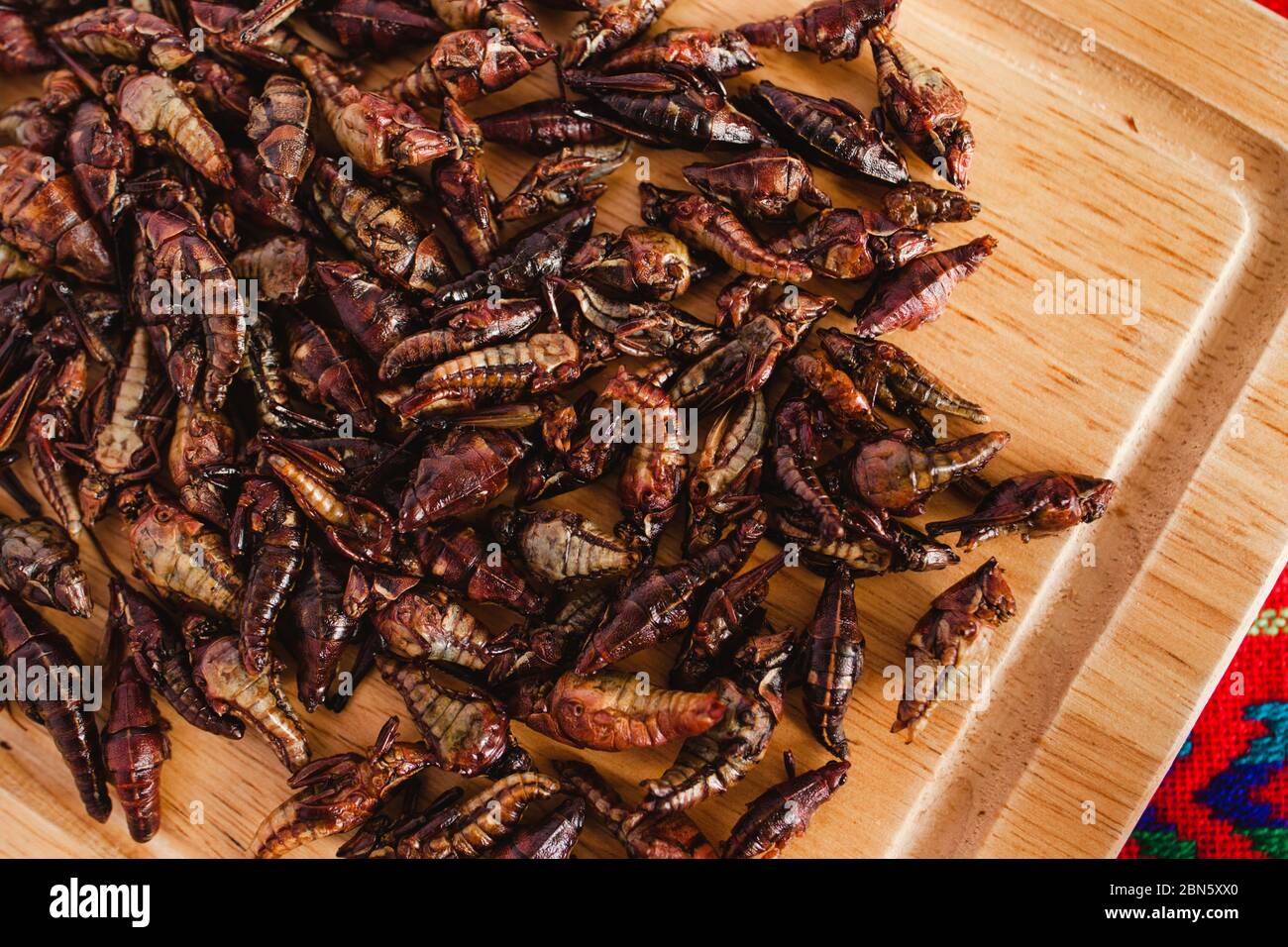 Chapulines, grasshoppers and guacamole snack traditional Mexican ...