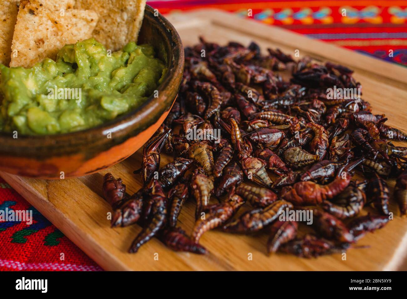 Fried cricket mexico hi-res stock photography and images - Alamy