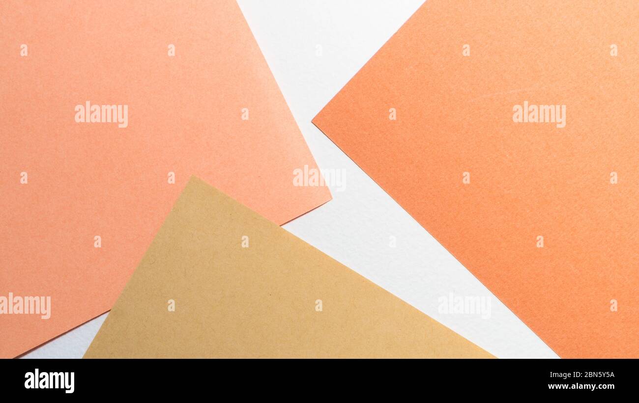 Color papers geometry shape composition background with white beige ...