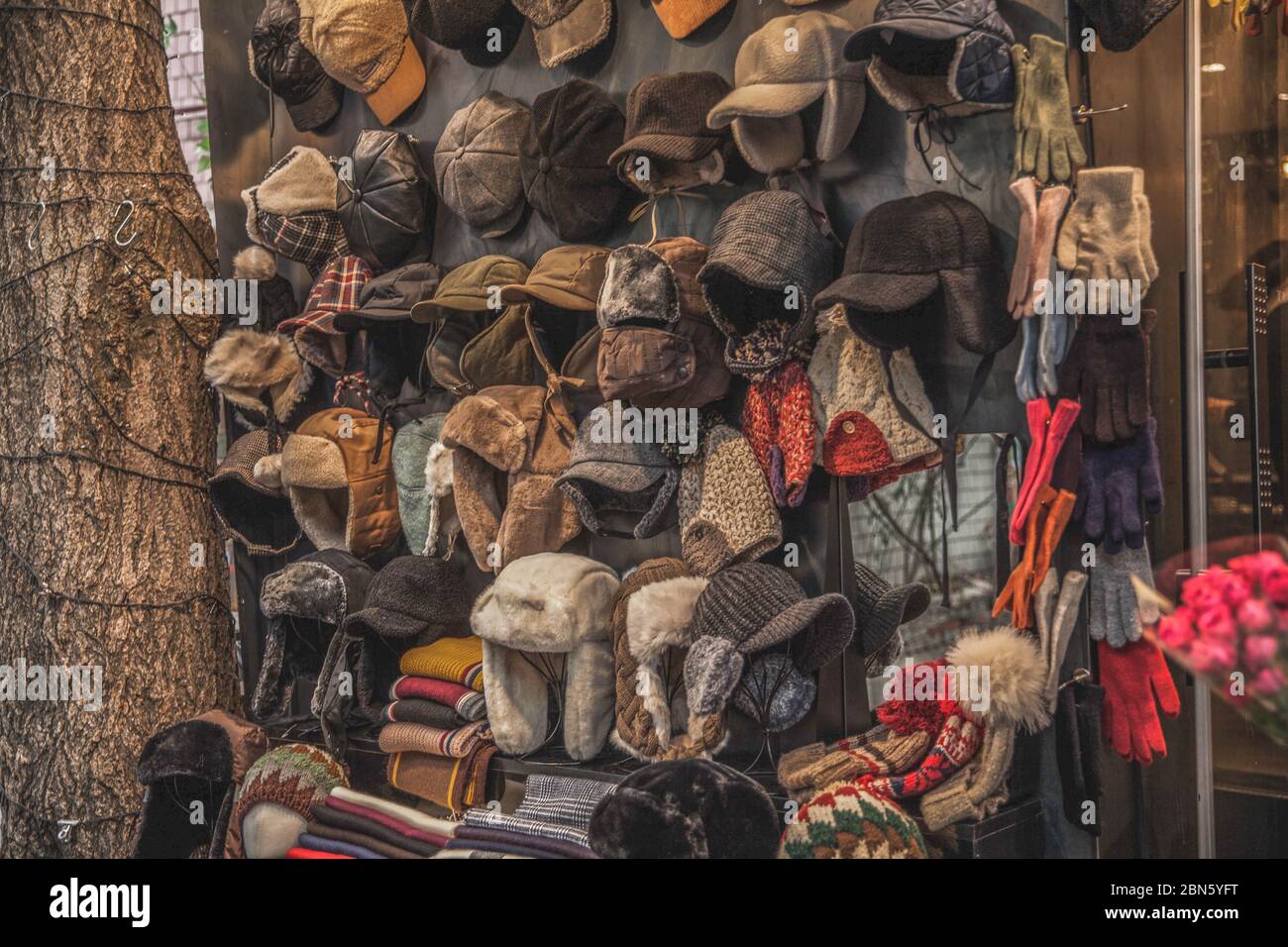 Beret cap hi-res stock photography and images - Alamy